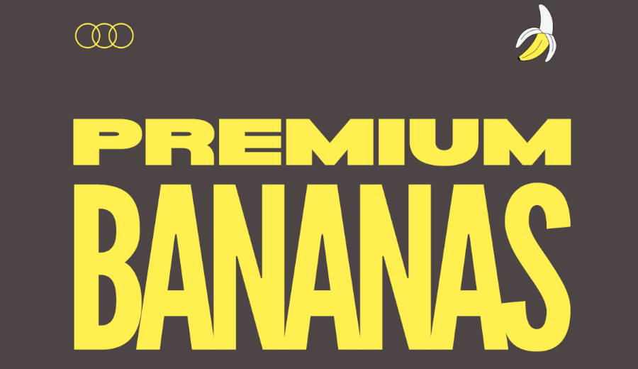 Live: Premium Bananas & Excuse Me, Lily @ The Loft